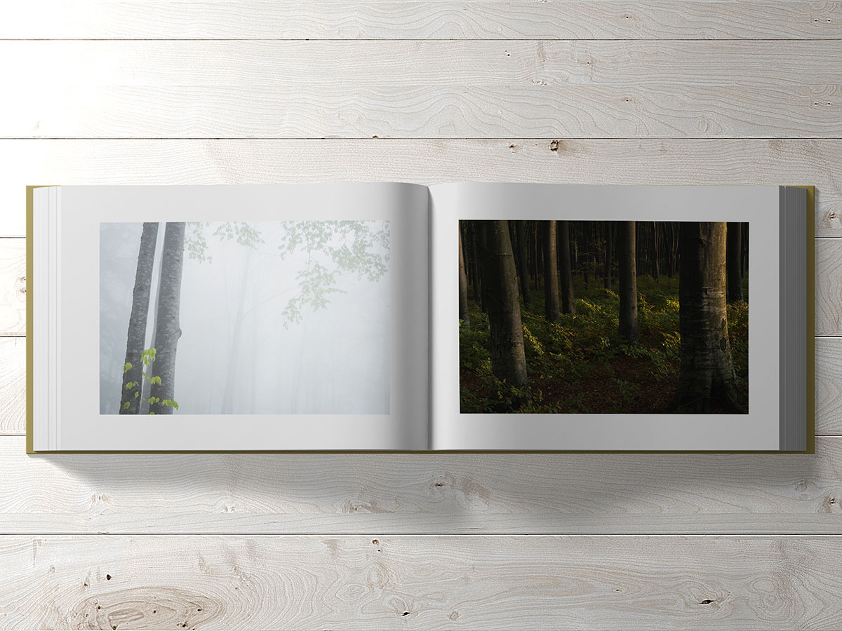 Terra Silva book | Dorin Bofan